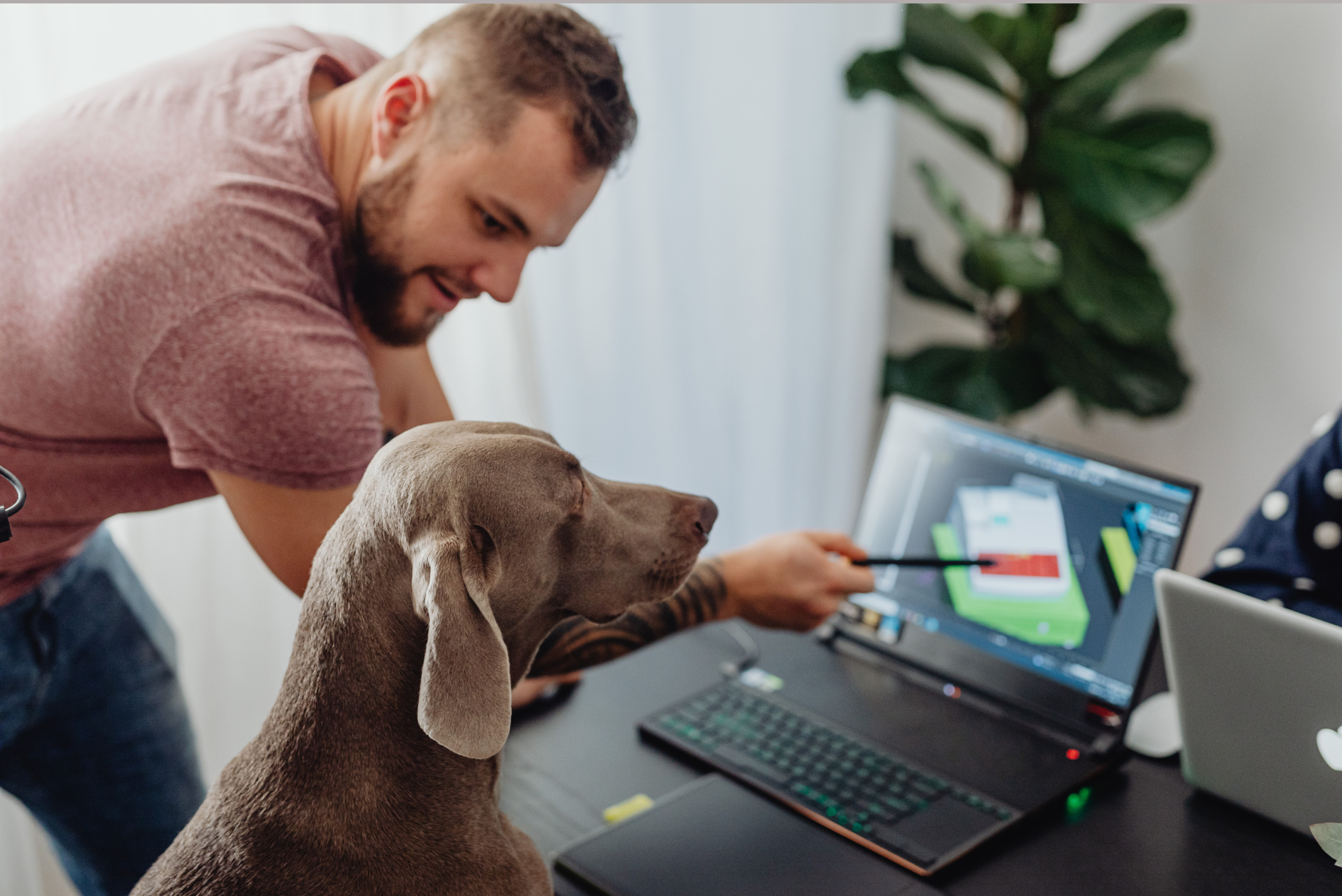 Launching a Pet-Care Venture: Everything You Need to Know to Begin and ...